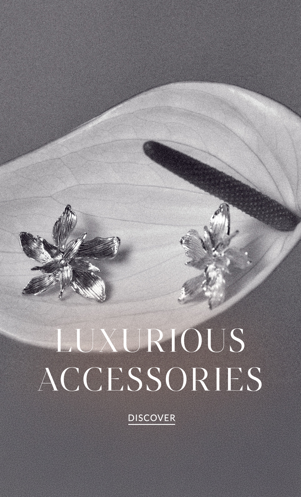 TARANKO - World of Luxury Clothing - Taranko